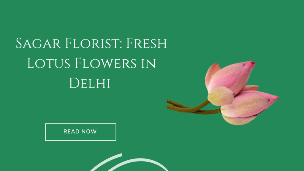 Sagar Florist: Fresh Lotus Flowers in Delhi SAGAR FLORIST