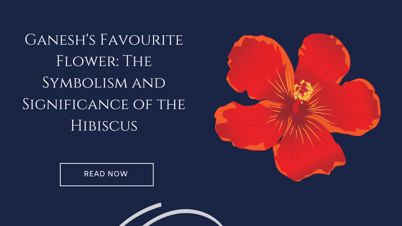 Ganesh's Favourite Flower: The Symbolism and Significance of the ...