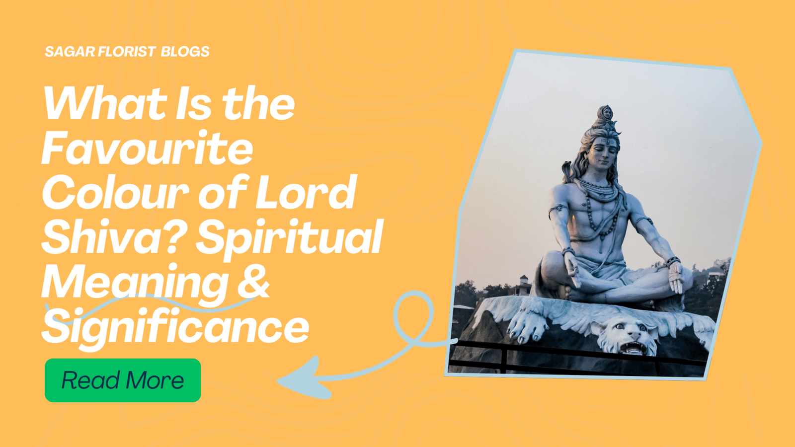 What Is the Favourite Colour of Lord Shiva Spiritual Meaning SAGAR FLORIST
